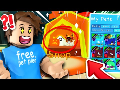 Find This SECRET GHOST For FREE PETS In BubbleGum Simulator (Roblox)