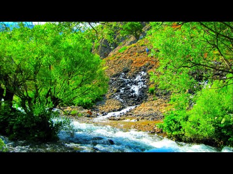 Munzur Baba Tarihinden Kısa Bir Kesit