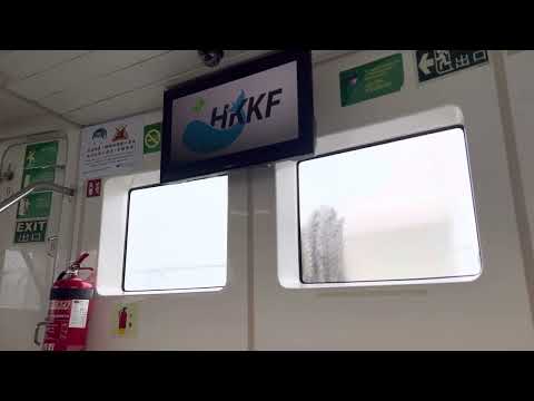 HKKF 港九小輪 海立 到達坪洲碼頭 - YouTube