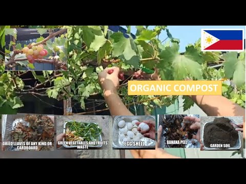 HOW TO MAKE ORGANIC FERTILIZER (COMPOST) IN THE PHILIPPINES - YouTube