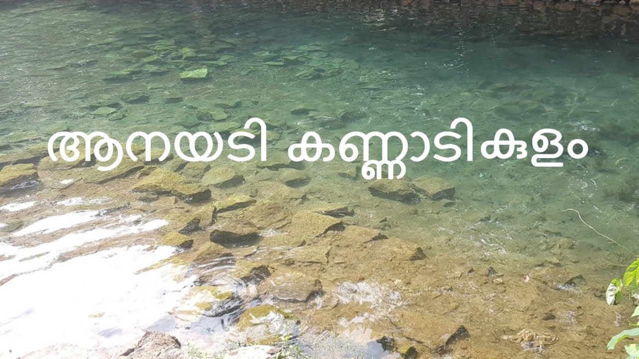Anayadi Swimming Pool | Kannadi Kulam | Pure Water | Transparent Pond ...