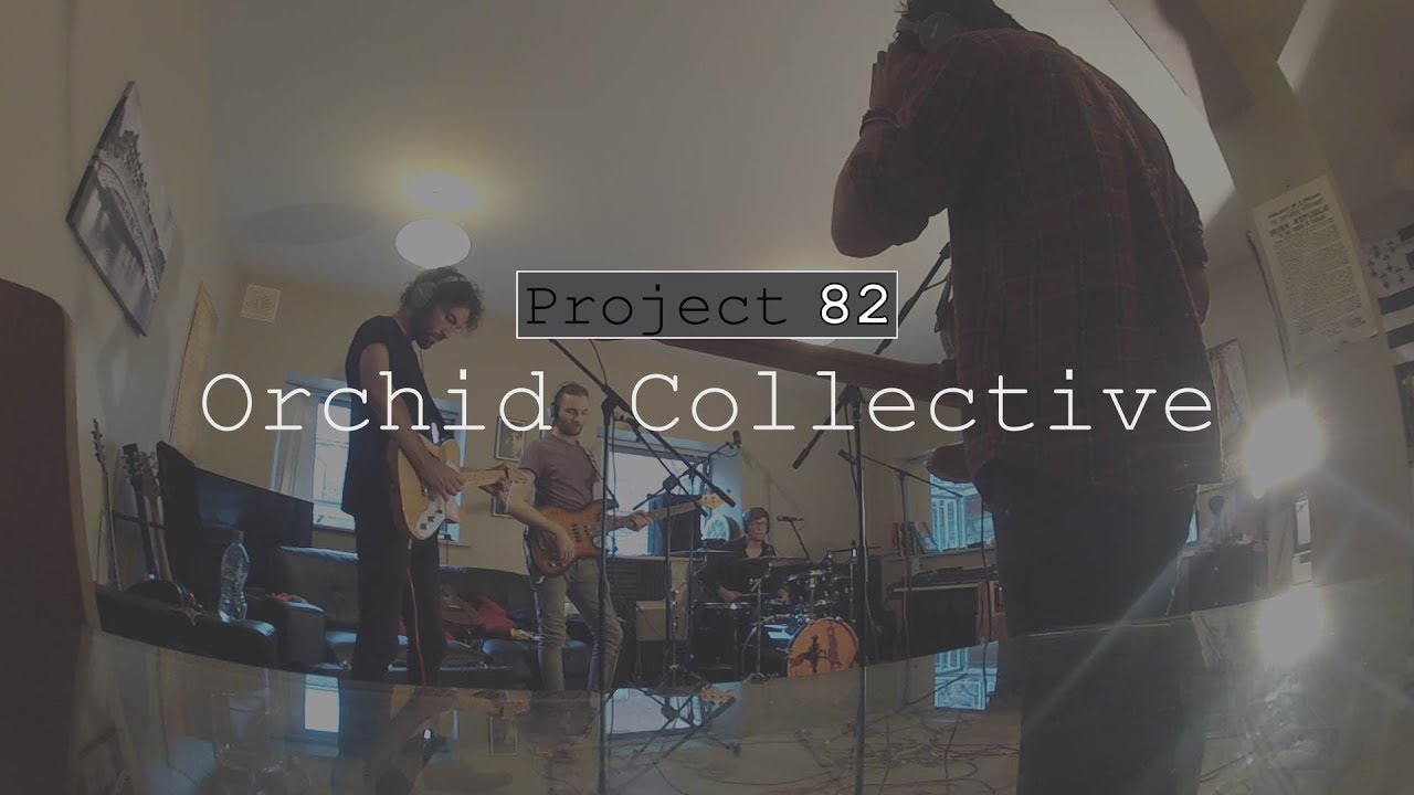 Project 82 - Orchid Collective - YouTube