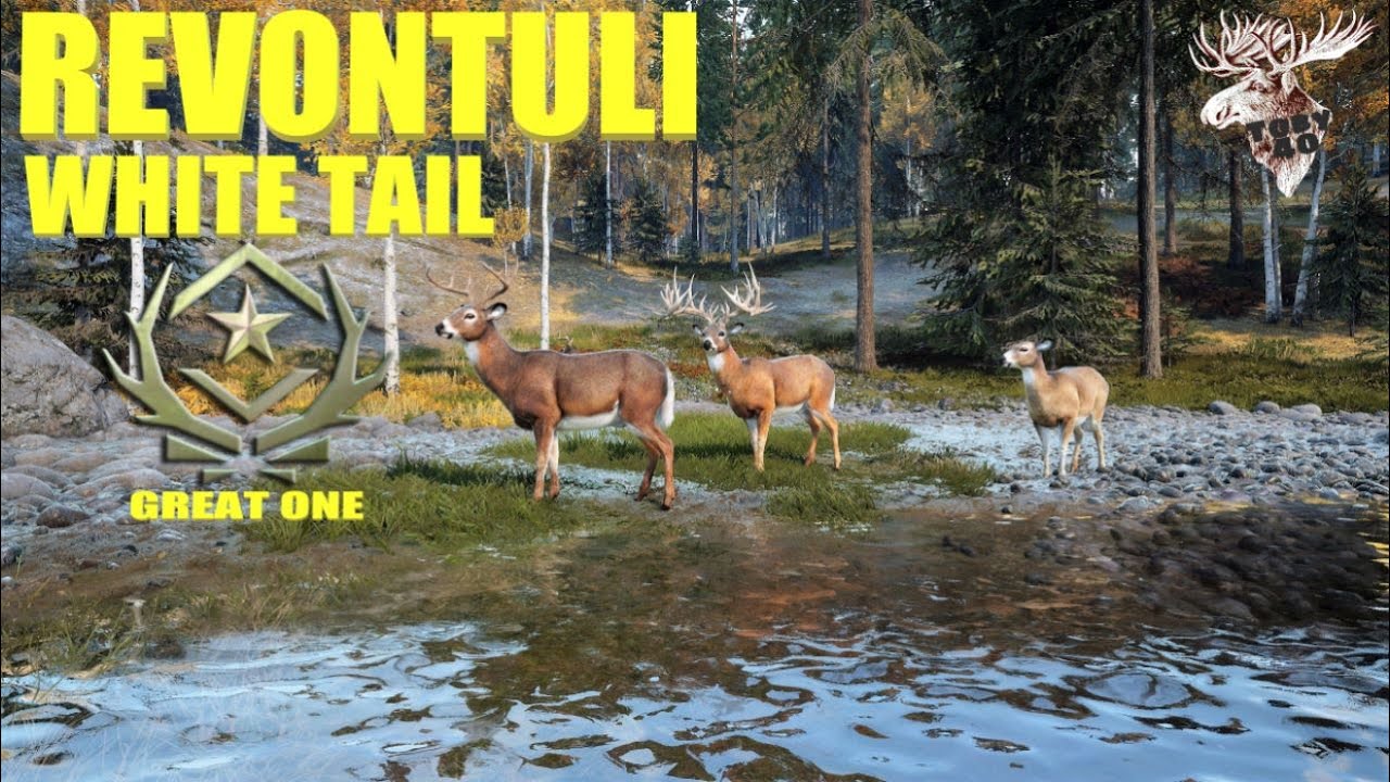 Whitetail Great One Revontuli Coast - YouTube
