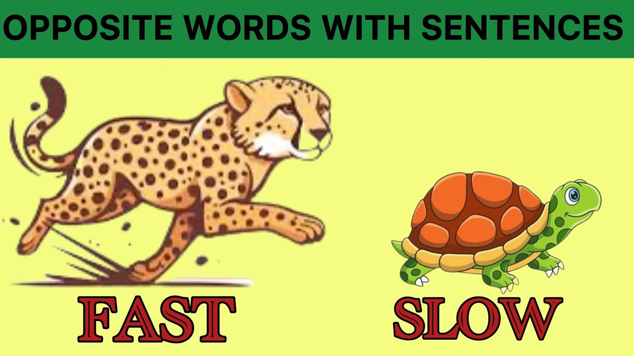 Learn 30 Opposite Words for Kids | Fun and Easy Opposites! |Opposite ...