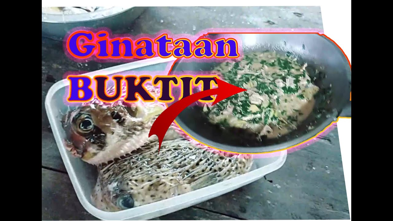 CATCH & COOK PHILIPPINE SEAFOOD | EXOTIC BLOWFISH | GINATAANG BUKTIT ...