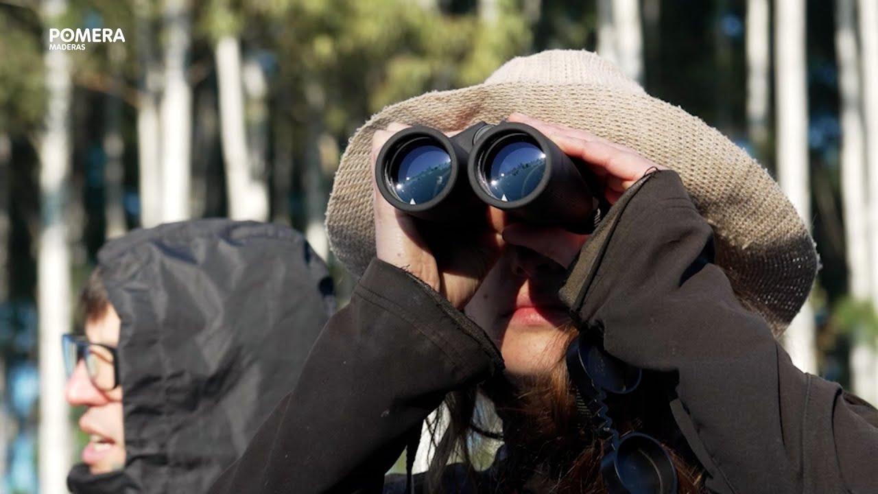 CENSO ANUAL DE VENADOS - POMERA Y FUNDACION REWILDING ARGENTINA - YouTube