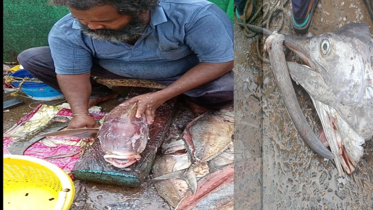 15kg very Big Fish cutting// Skilled Fish cutter 🐠🐠🐟🐟 - YouTube