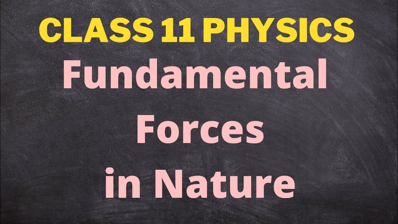 CBSE Class 11 Physics chapter 1 | Fundamental forces in nature - YouTube