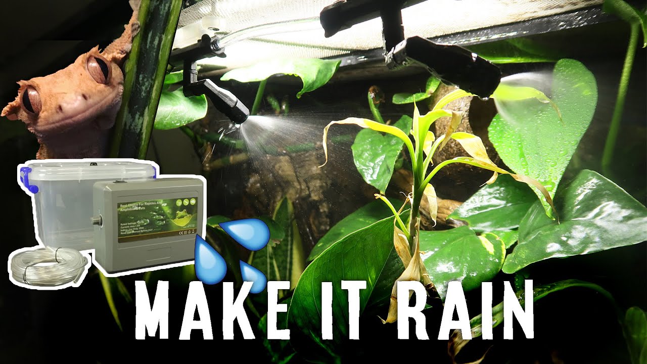 Testing The MOST AFFORDABLE Rain System On The Market | Swell Reptile ...
