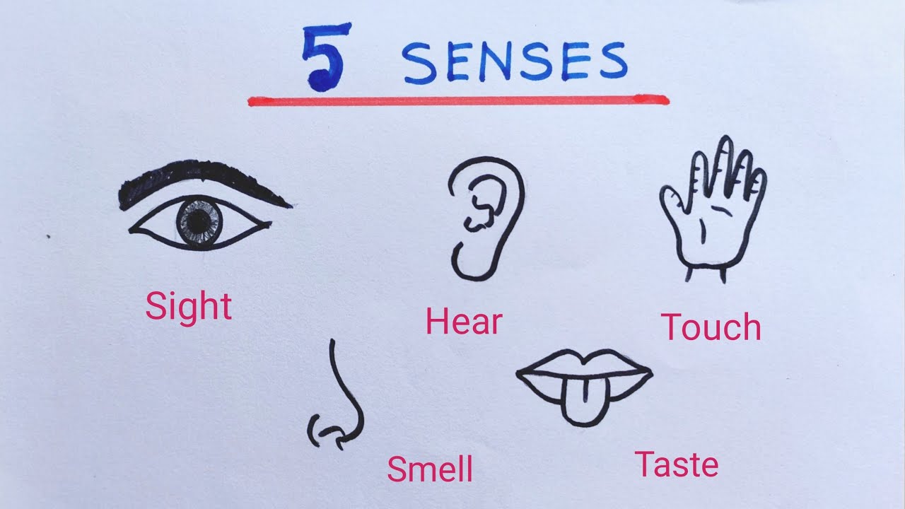 How To Draw Sense Organs Easy Sensor Organs Drawing Idea How To how-to-draw-sense-organs-easy-sensor-organs-drawing-idea-how-to