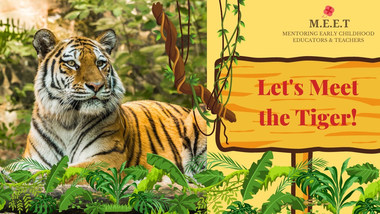 Let's meet the Tiger - YouTube