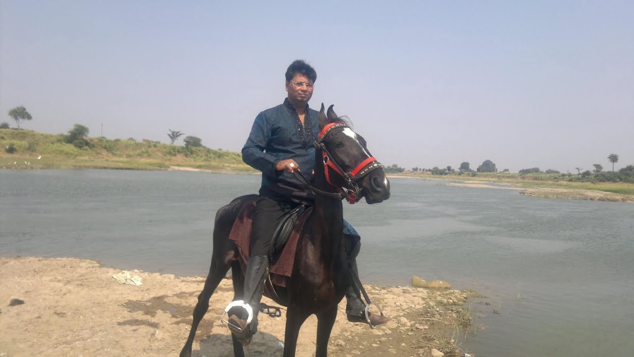 Bharat Sahu is live - YouTube