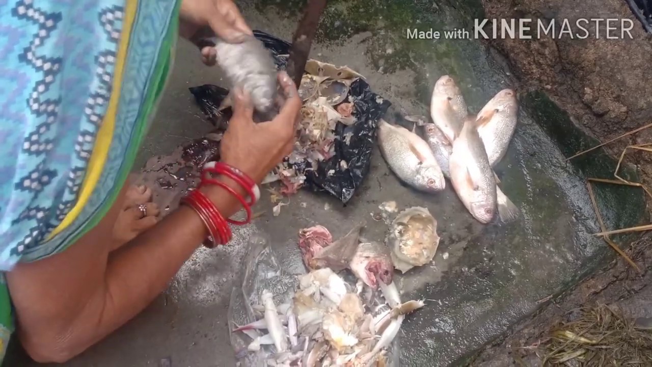 Desi Fish Recipe - YouTube
