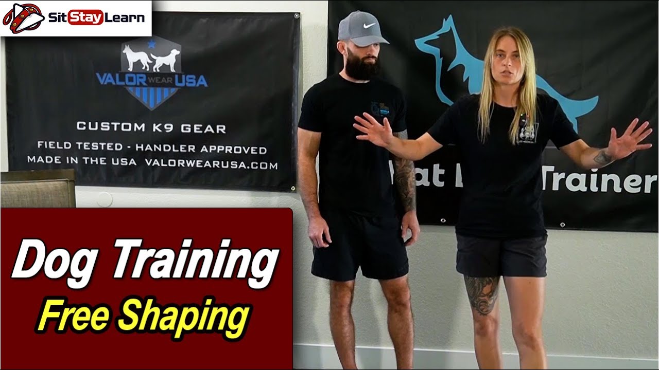 Dog Training - What is Free Shaping - YouTube