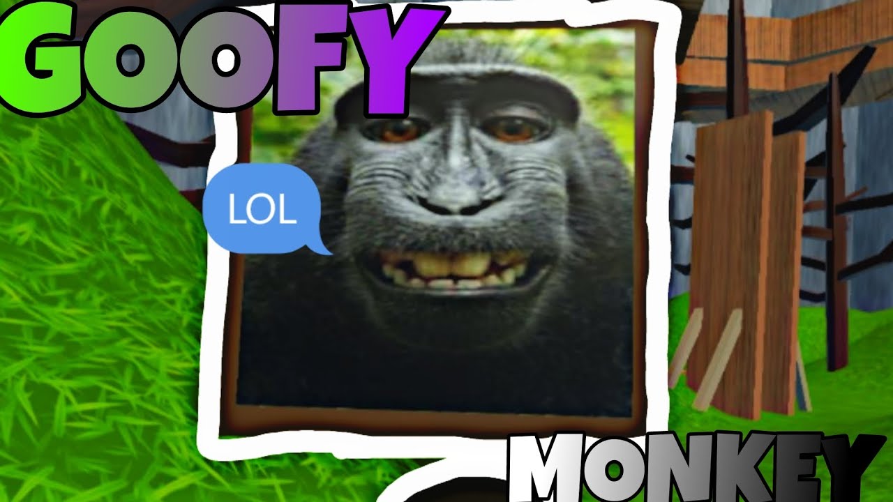 This game do be "goofy" | Goofy Monkey VR - YouTube