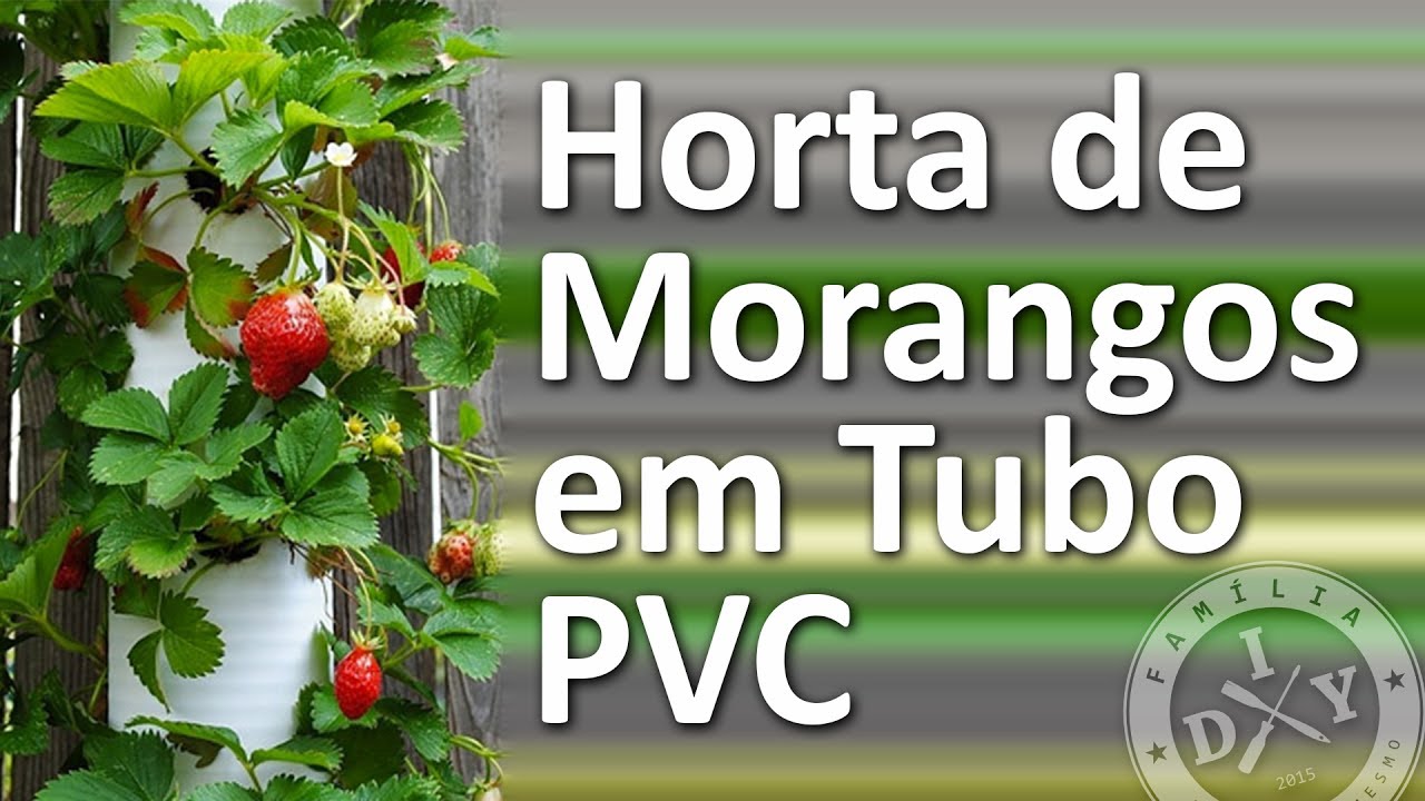 🍓 HORTA DE MORANGO NO CANO PVC - FAMÍLIA DIY - YouTube