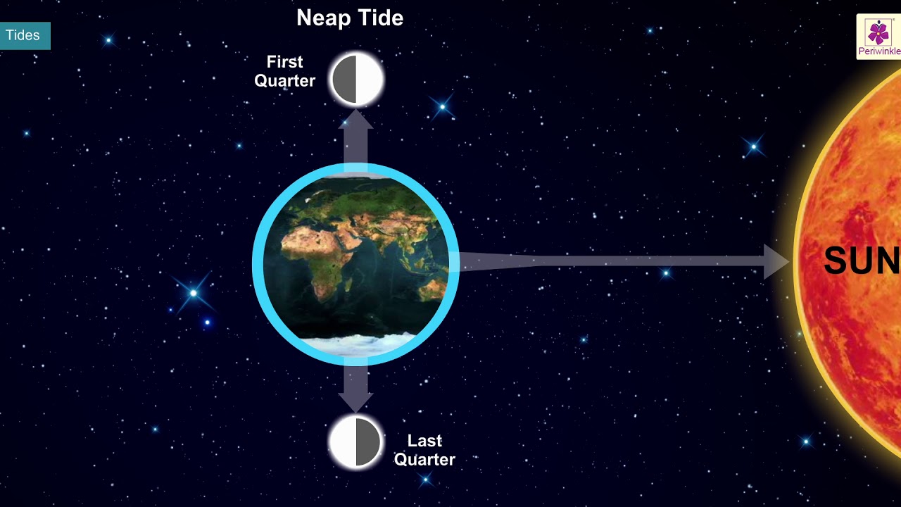 Tides | Atlas | Periwinkle - YouTube