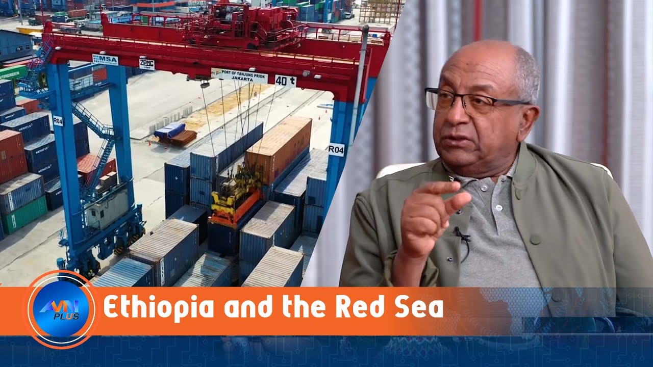 Securing Sea Access is a Lifeline for Ethiopia:Diplomat - YouTube