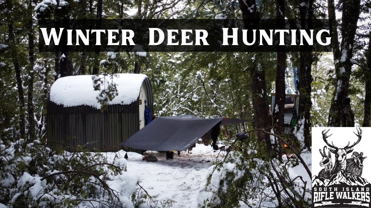 Venison Hunt & Cook - Campfire Stir Fry - YouTube