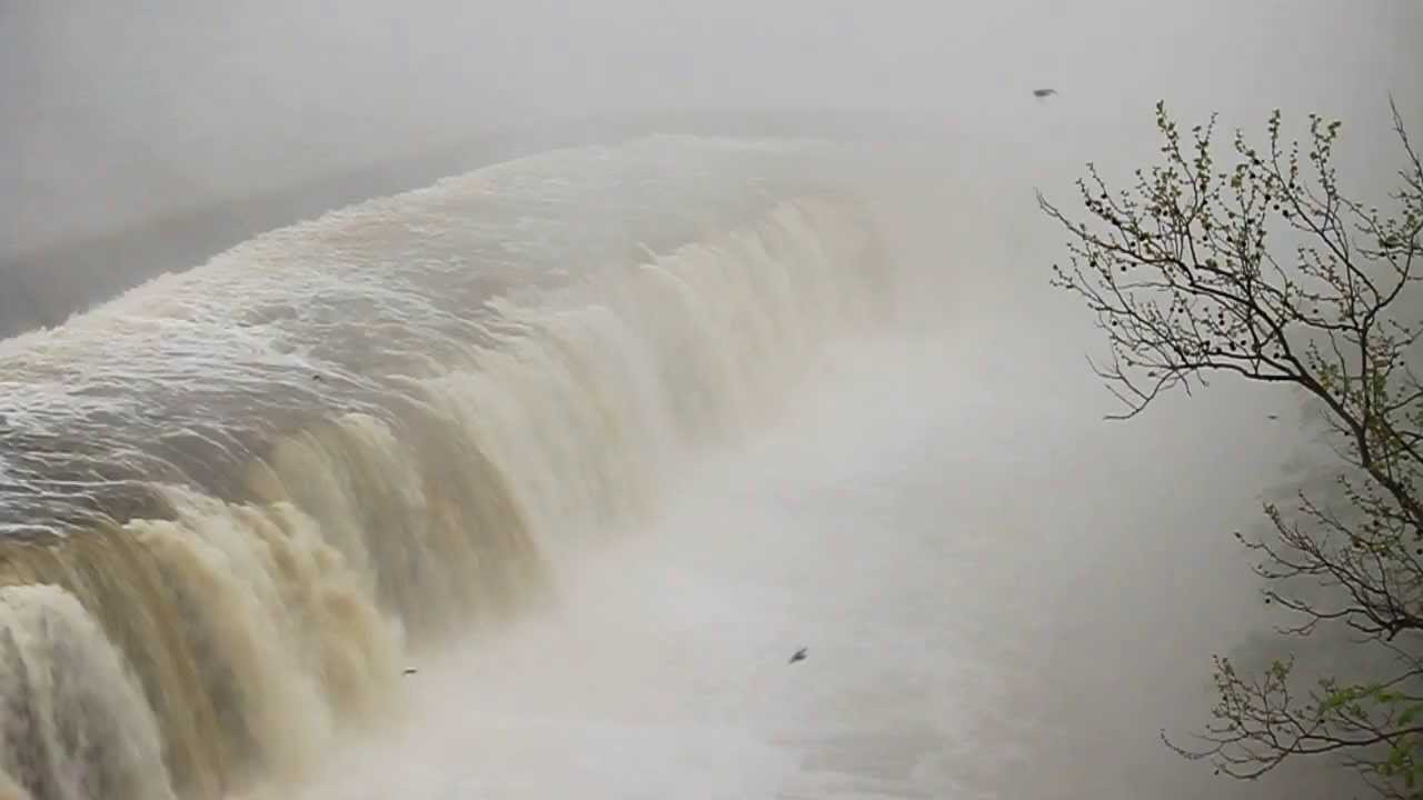 St Louis Rain Totals Today | semashow.com