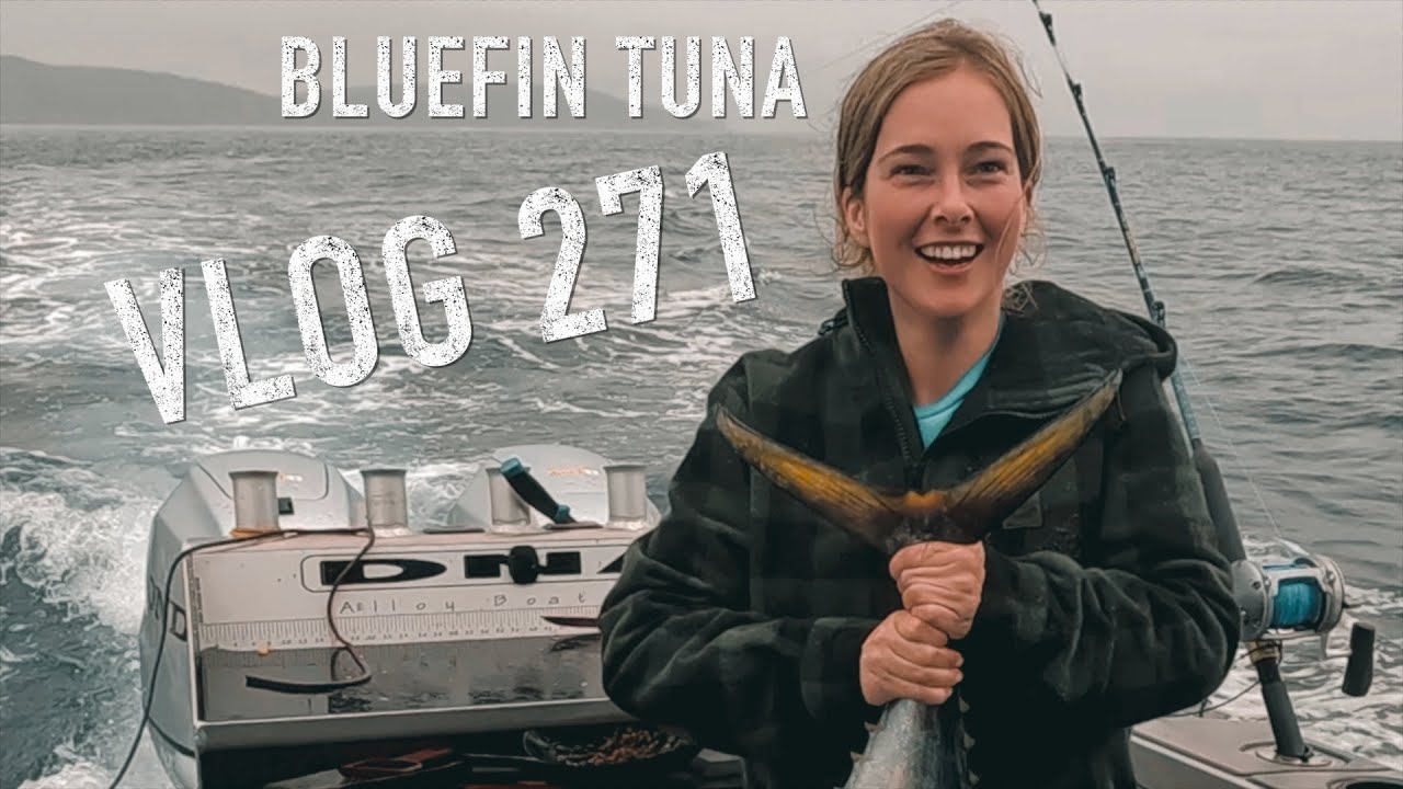 Bluefin Tuna - New Zealand Adventure VLOG 271 the knotty knots camp ...