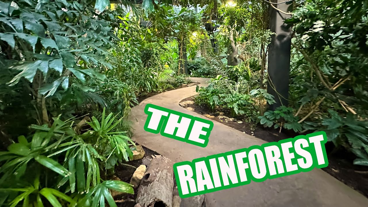 Saying Goodbye to the Cleveland Zoo Rainforest! - YouTube