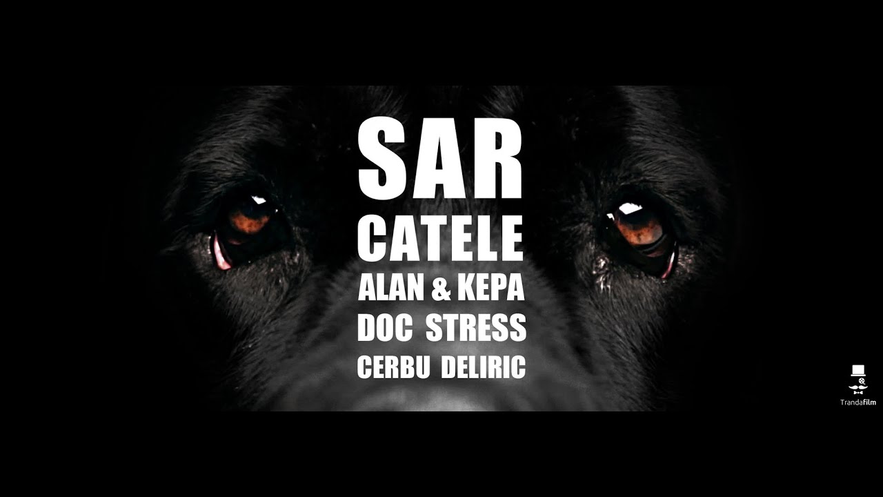 ALAN & KEPA , Doc , Stres, Cerbu', Deliric - Sar Catele [Official Video ...