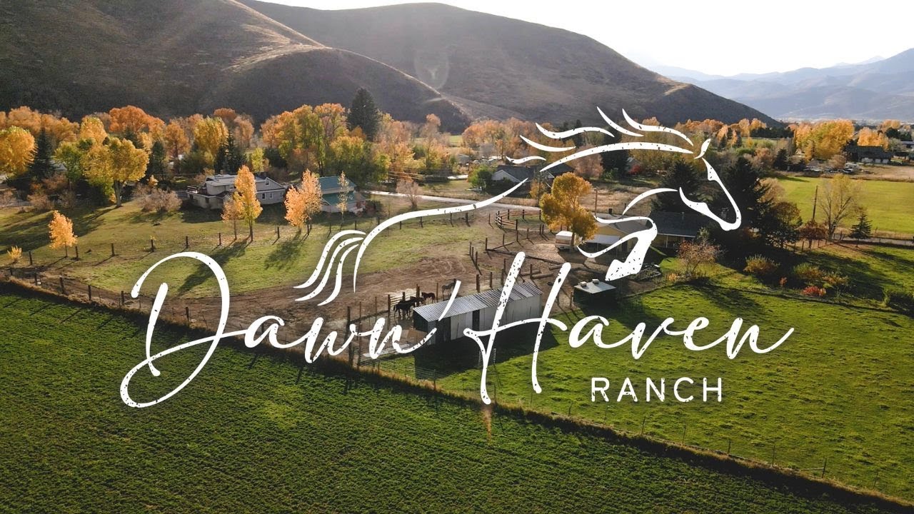 Dawn Haven Ranch and Rescue - YouTube