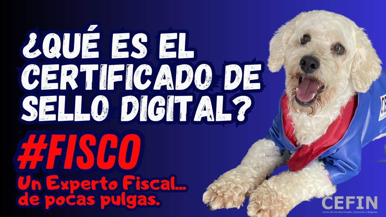 ¿Qué es el Certificado de Sello Digital? | Fisco un experto fiscal de ...