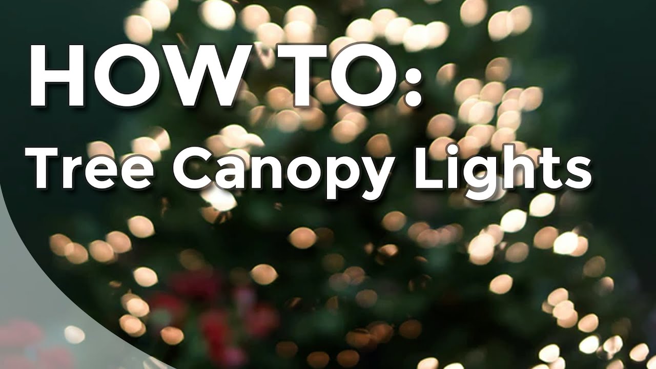 How To Light Tree Canopy | Christmas Lighting - YouTube