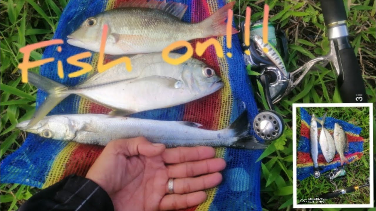 Barakuda | Talakitok | Katambak land💪 Fish on!!! - YouTube