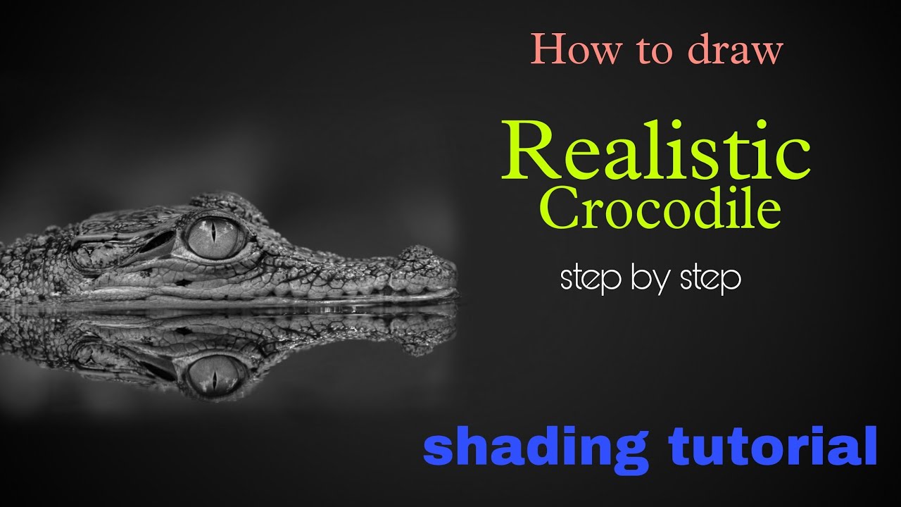 how to draw crocodile drawing/shading tutorial/step by step with in two ...