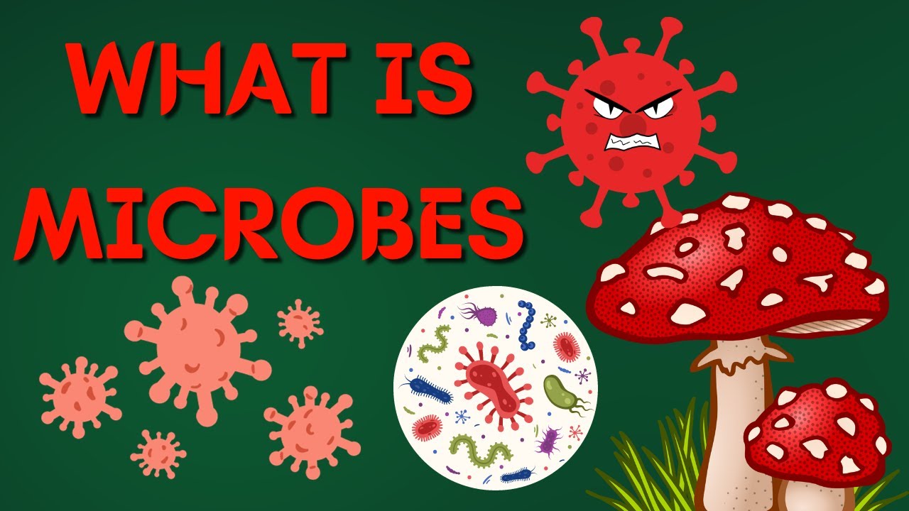 what is microbes - YouTube