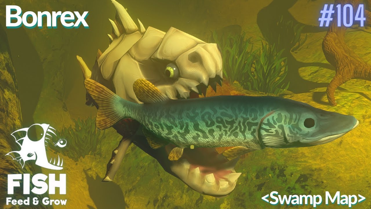 Feed And Grow Fish : Bonrex (Swamp Map) - YouTube