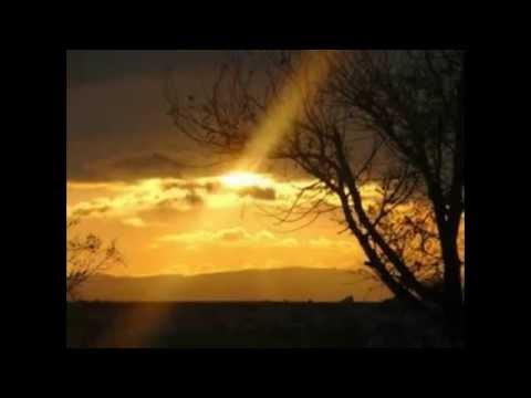 Halâ Koynumda Resmin