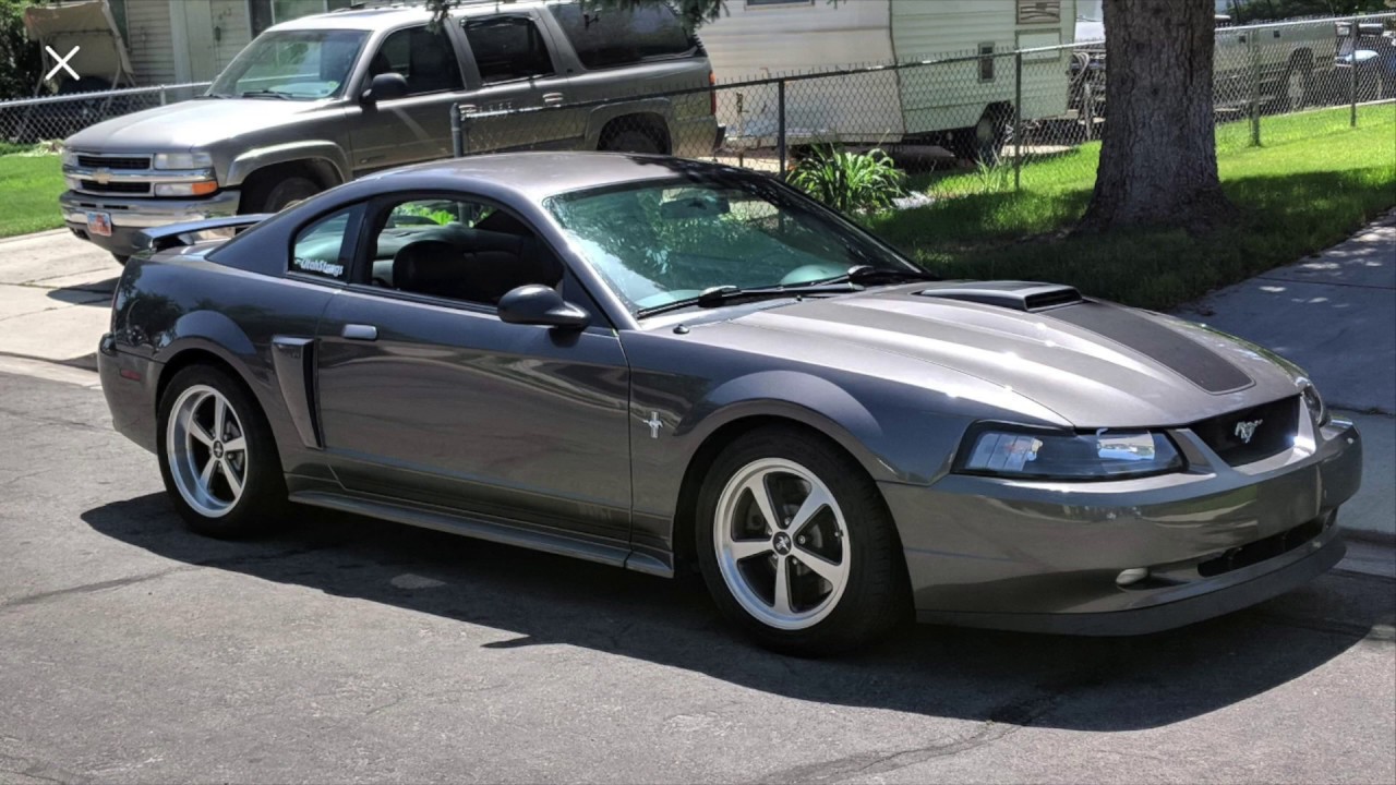 2003 Mach 1 Dark Shadow Gray: Story - YouTube
