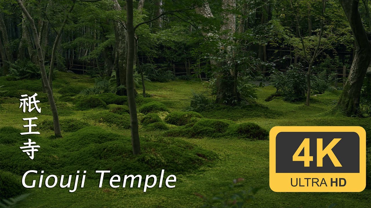 Giouji Temple (Gioji Temple) - Kyoto - 祇王寺 - YouTube