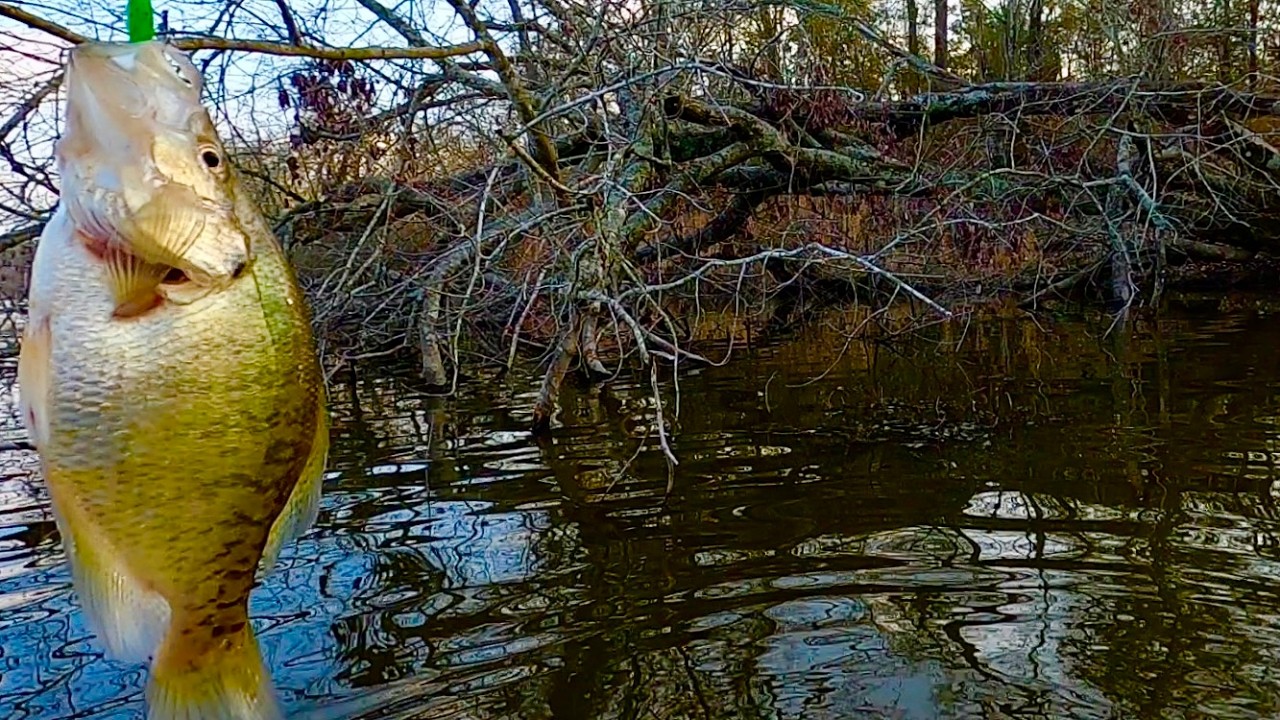 February Creek Crappie Fishing - YouTube