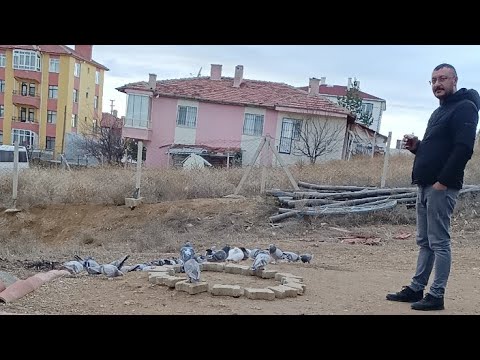 Karslı Kemalin Mahsendeyiz