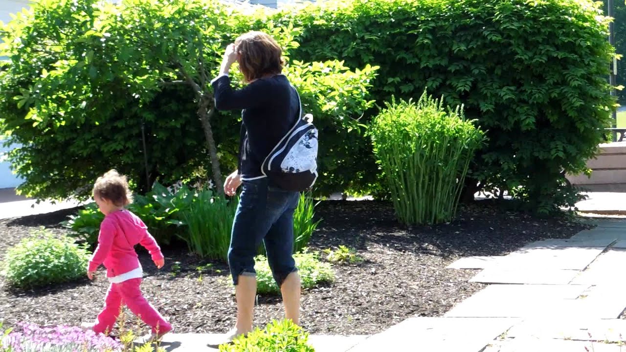 DSCN2772.MOV - YouTube