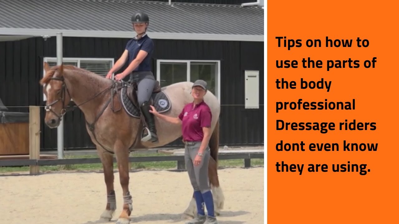 The Dressage aids explained and how to improve your position. - YouTube