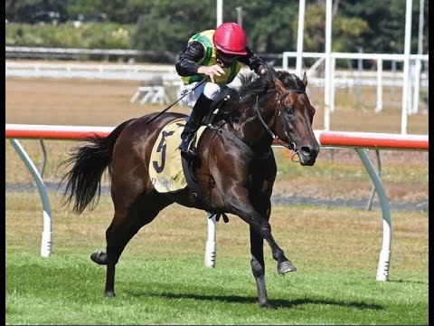 The Chosen One Mare match - YouTube