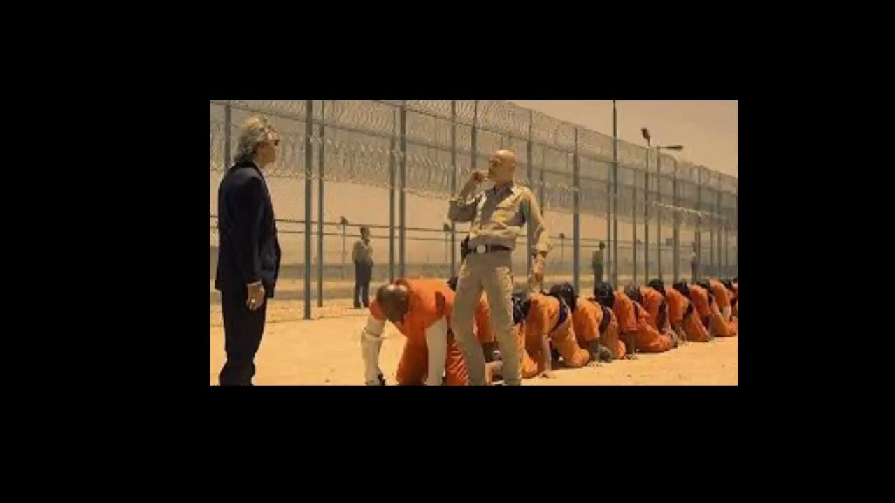 EL CIENPIES HUMANO 3 - YouTube