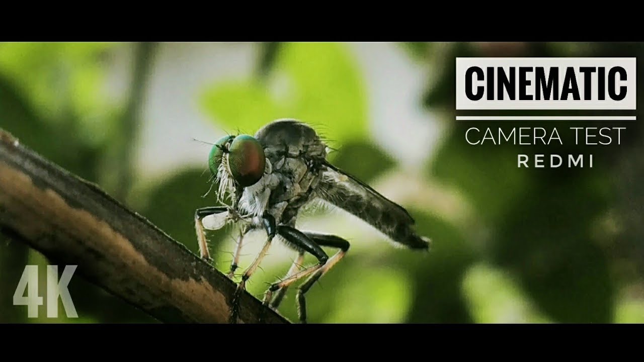 REDMI 10 PRIME Cinematic Video | 4k camera test | - YouTube