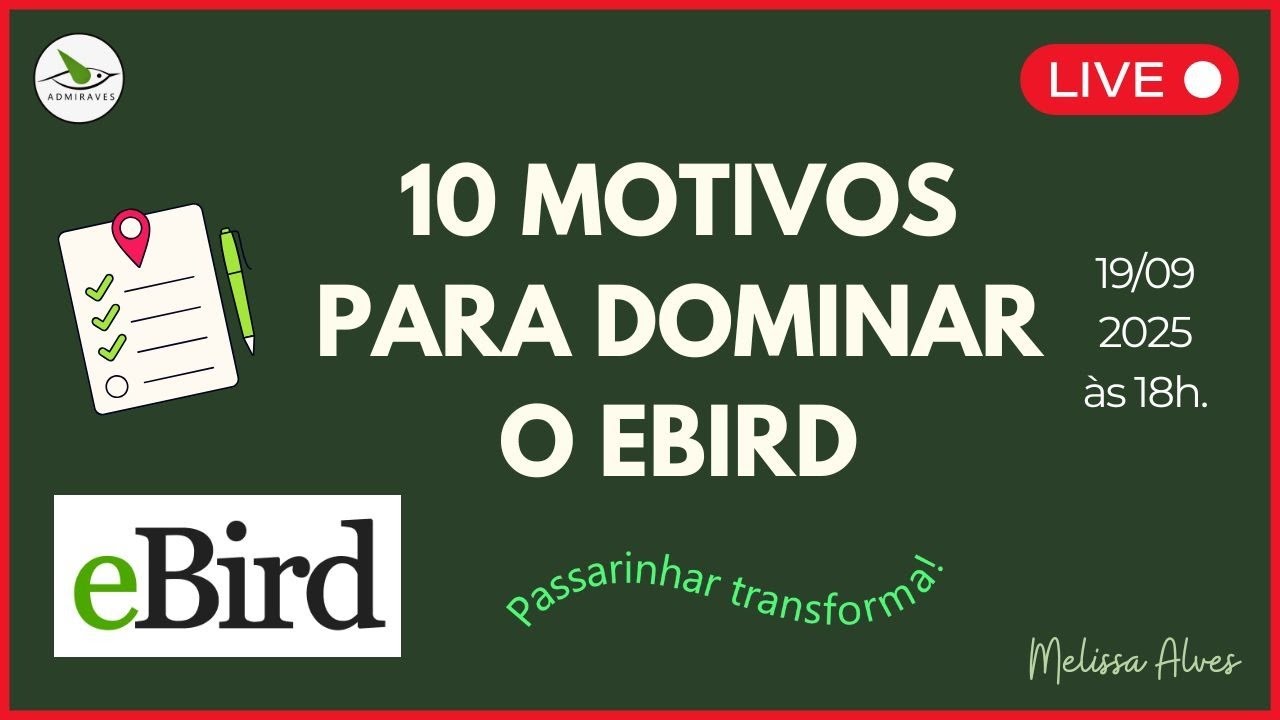 10 Motivos para Dominar o EBird - YouTube