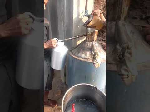 Extraction of Vetiver Oil - YouTube