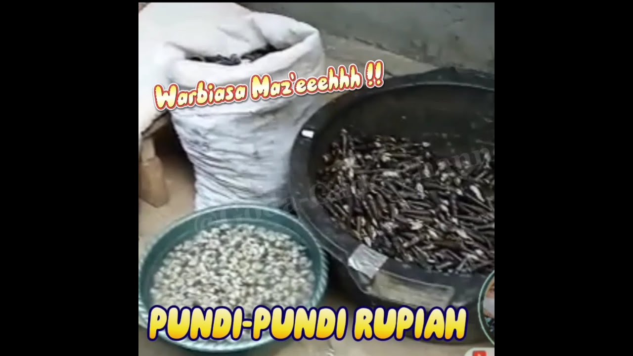 SUSUH, SALAH SATU PRODUK LAUT YANG MENJADI ANDALAN UNTUK MENGERUK ...