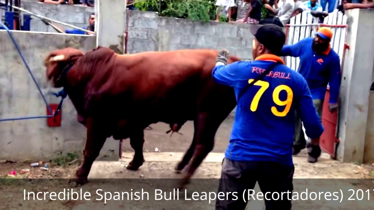 Incredible Spanish Bull Leapers (Recortadores) 2017 - YouTube