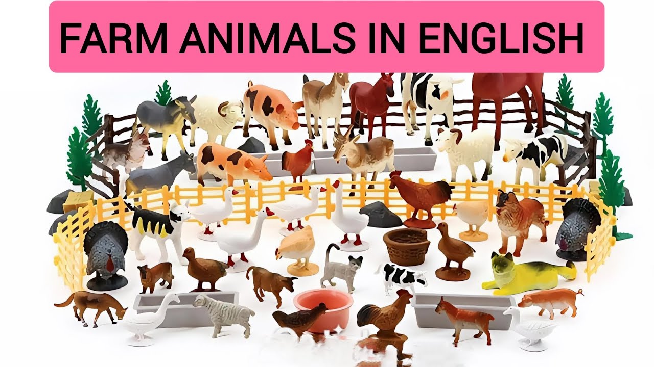 Farm Animals | Farm Animals Vocabulary in English | Farm Animals Names ...