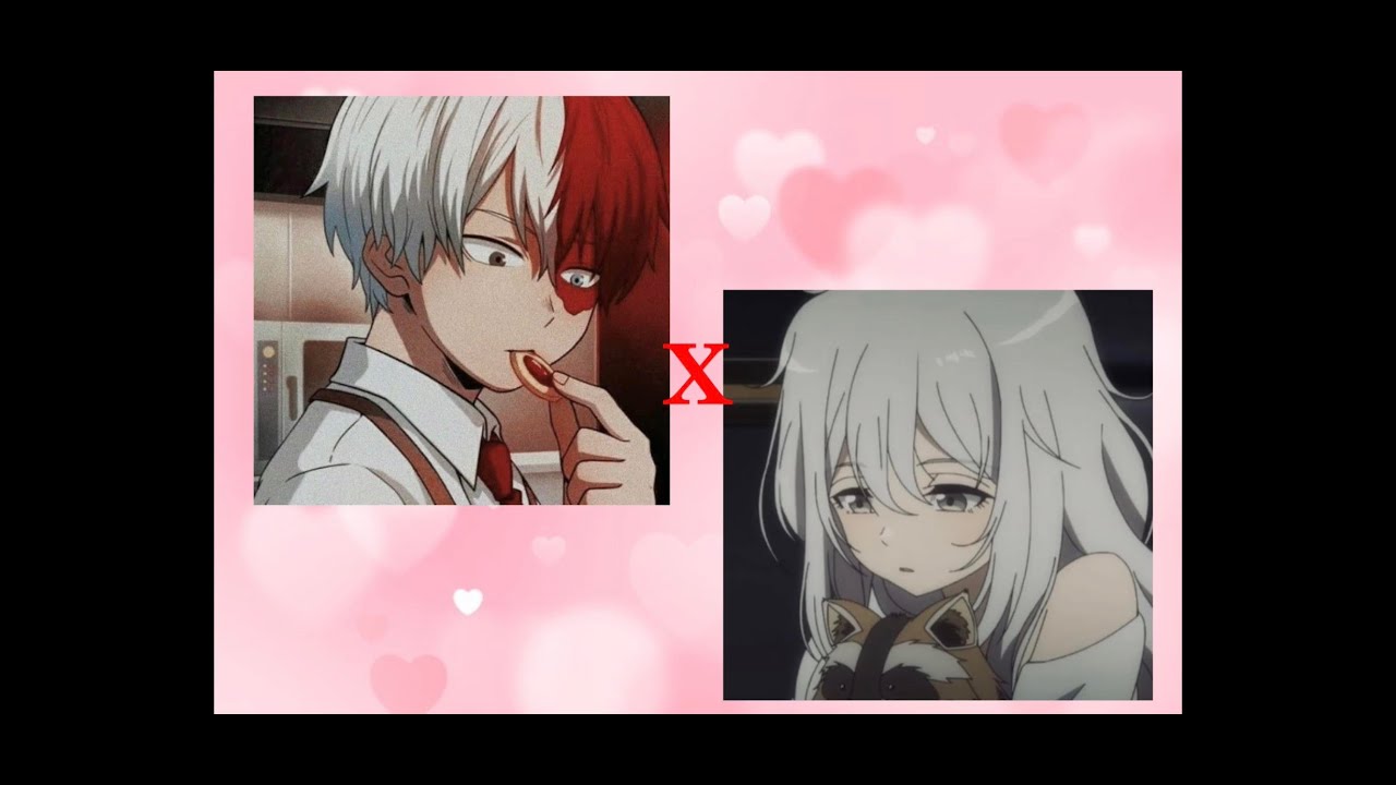 Meet Y/N (Y/N X Shoto Todoroki) - YouTube